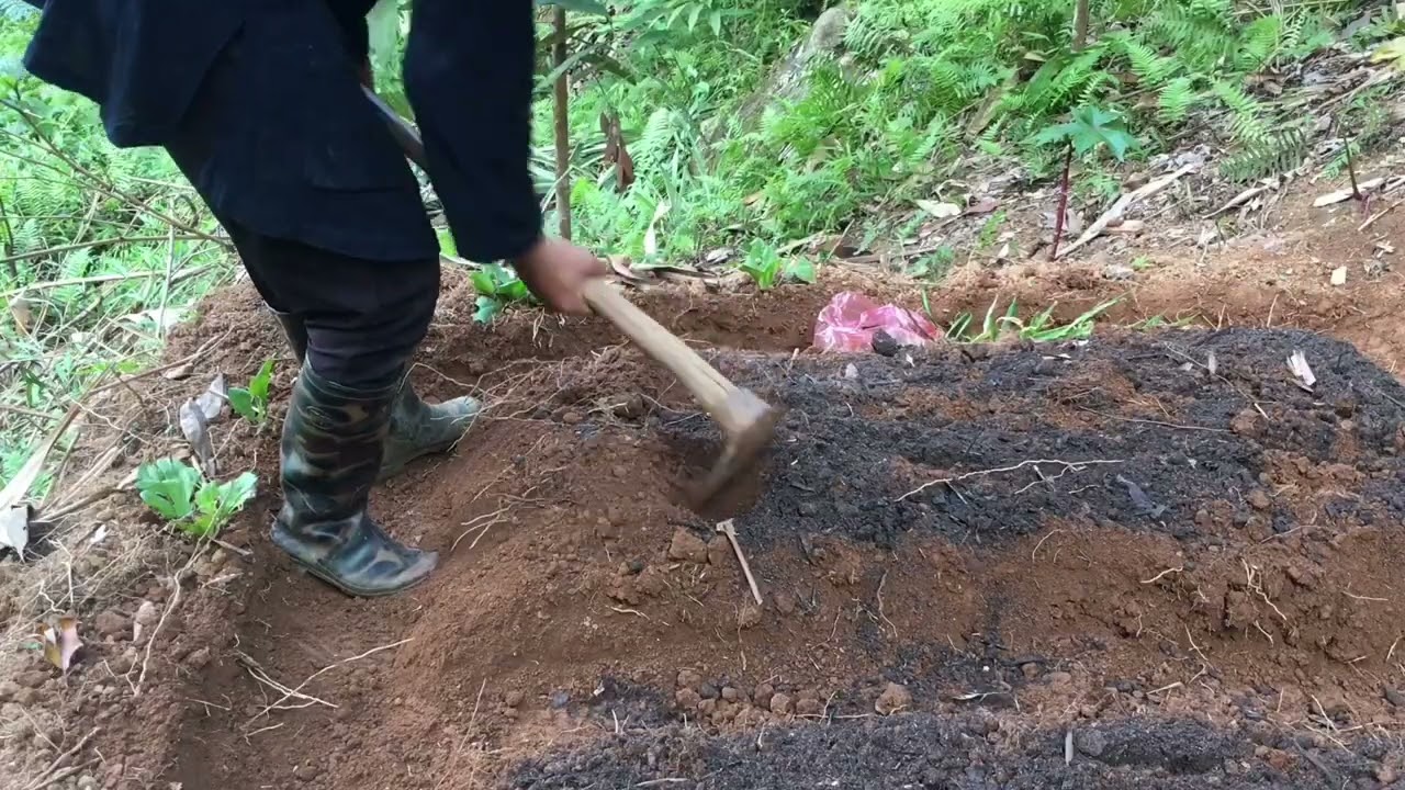 Ep 28 Building New Life Building Wild Life Farm Freelife Bushcraft Survival Youtube
