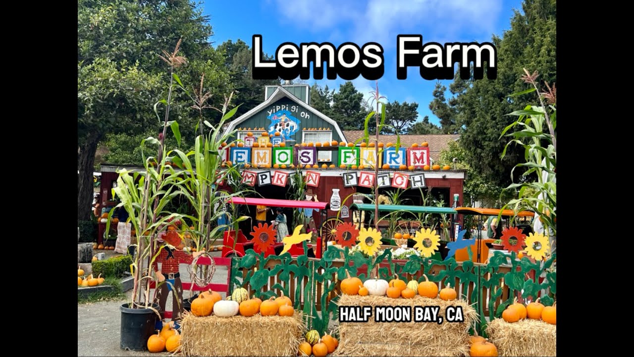 The Lemos Farm: A Fall Fun Destination | Pumpkin Patch | California ...