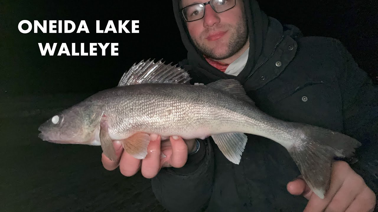 Ice Fishing Oneida Lake for WALLEYE! (Limited OUT) - YouTube