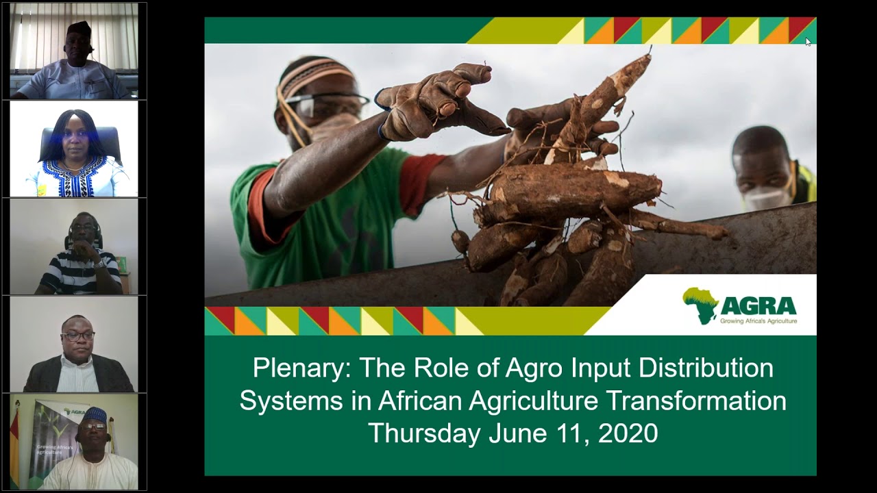 WEBINAR: Role of Agro Input Distribution Systems in African Agriculture ...