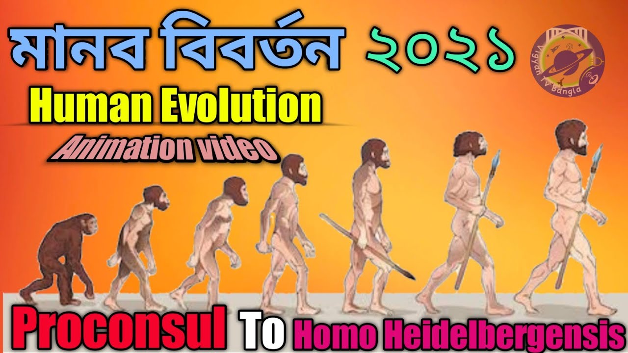 Human Evolution | Evolution from ape to man |From Proconsul to Homo ...