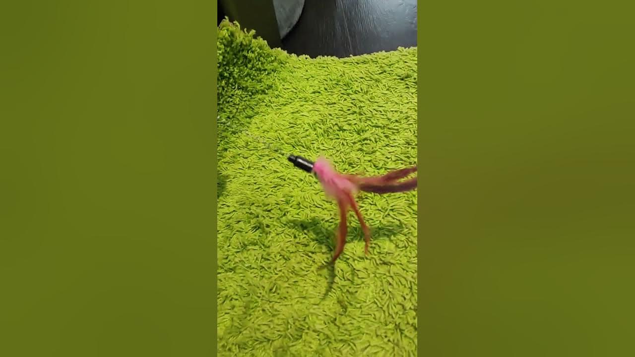 Бодрое утро☕ - YouTube