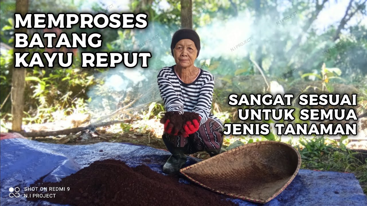 MANFAAT!!Batang kayu reput amat berguna sebagai medium dalam tanaman ...