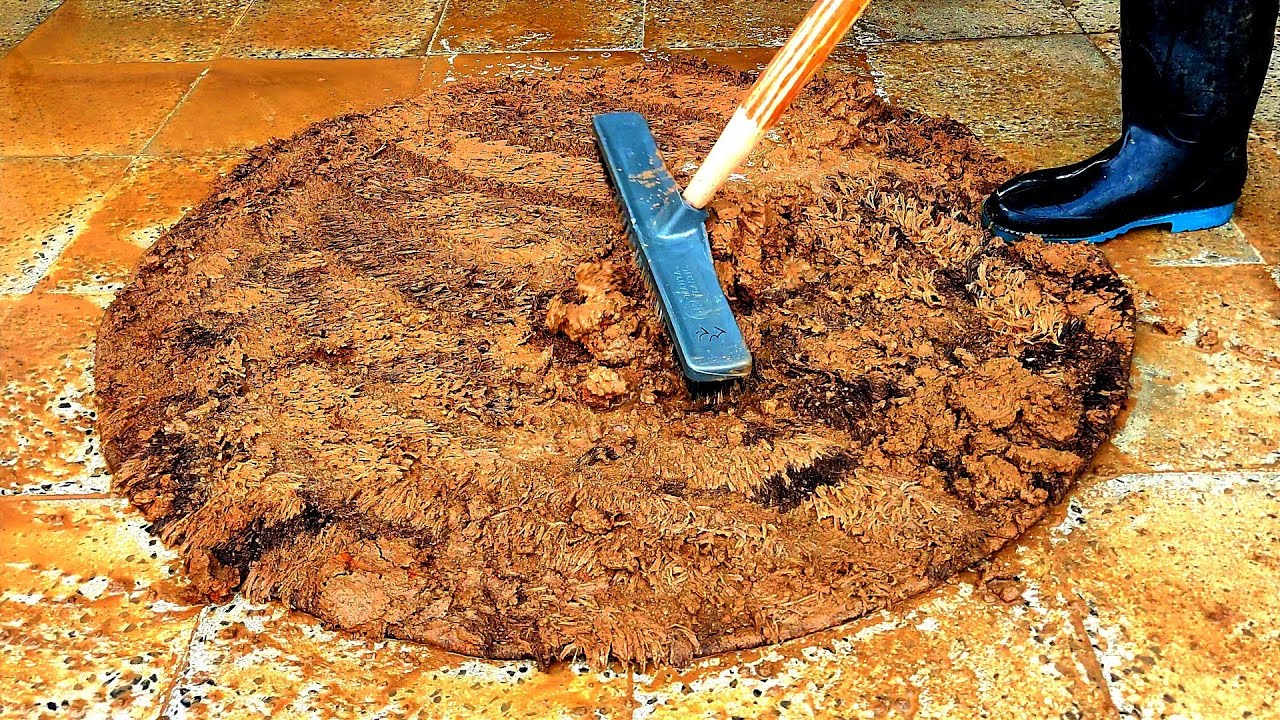 How to Clean a Horribel Dirty Carpet| Satisfying Rug Cleaning Video ...