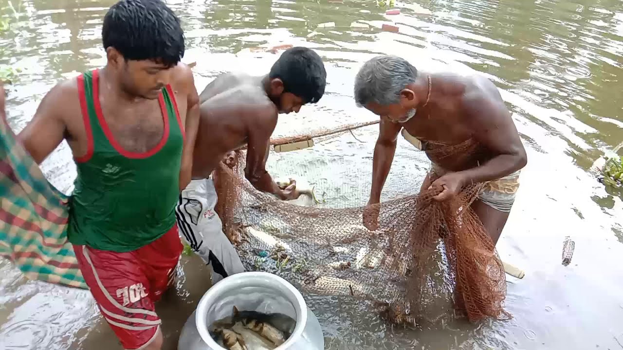 Net fishing video silver and carp fish fishing - YouTube