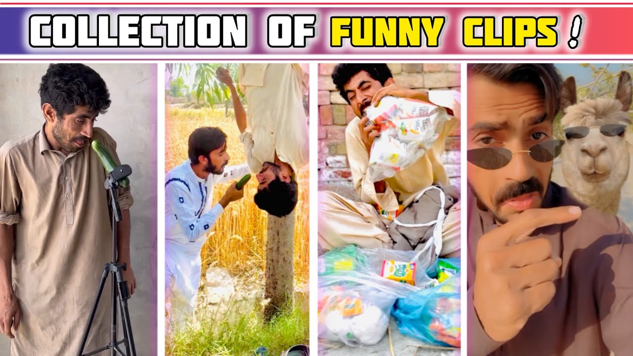 Collection Of Funny Clips😂 #ytshorts #trending #funnyvideo - YouTube