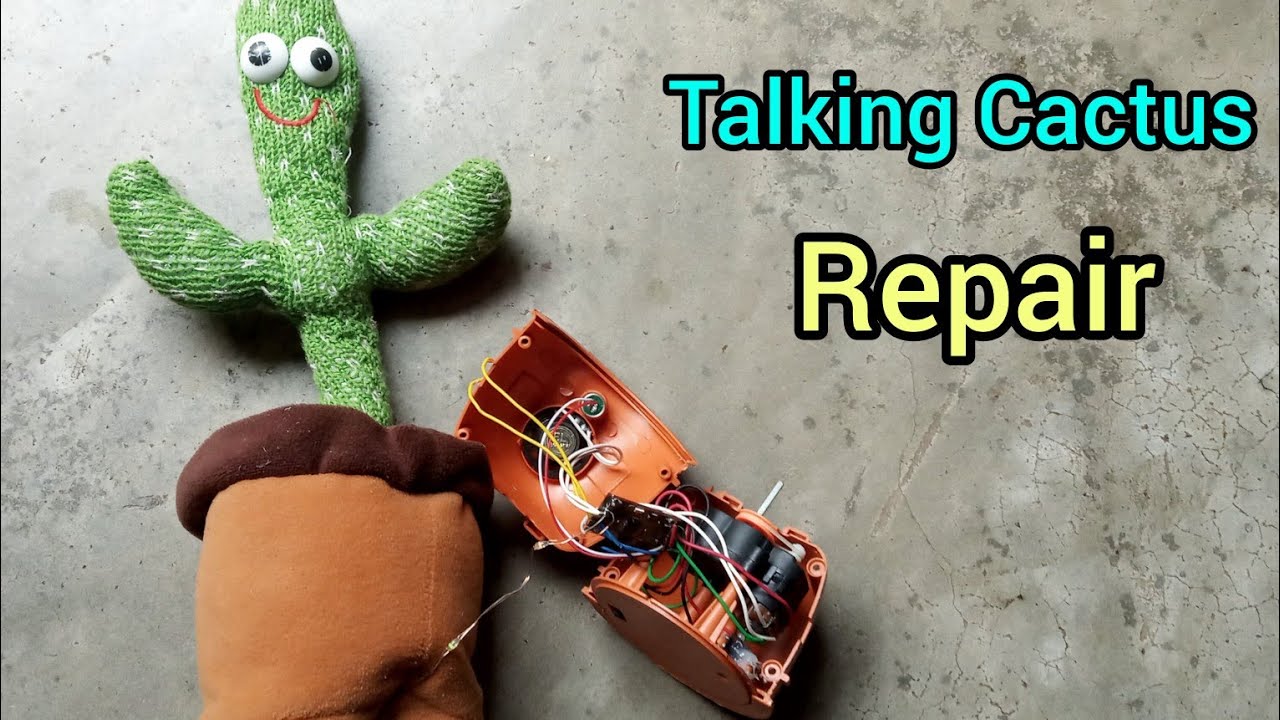 Dancing Cactus Repair Not Working || How To Fix Dancing Cactus # ...