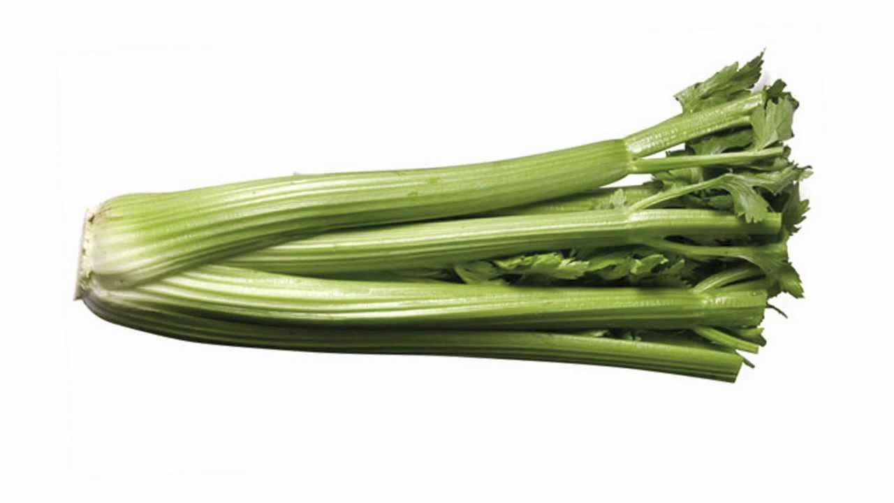 CELERY | ASL - American Sign Language - YouTube