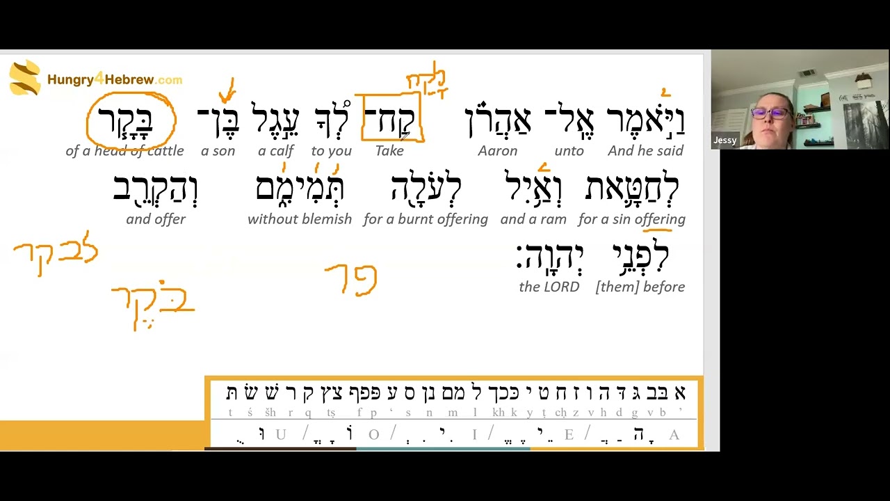 Shmini- Torah Portion Hebrew Study - YouTube