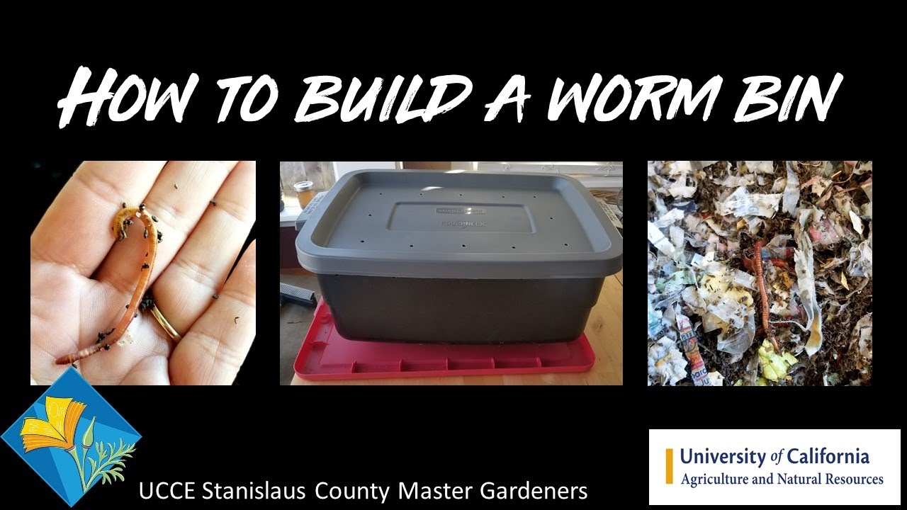 How to build a worm bin with UCCE Stanislaus County Master Gardeners ...