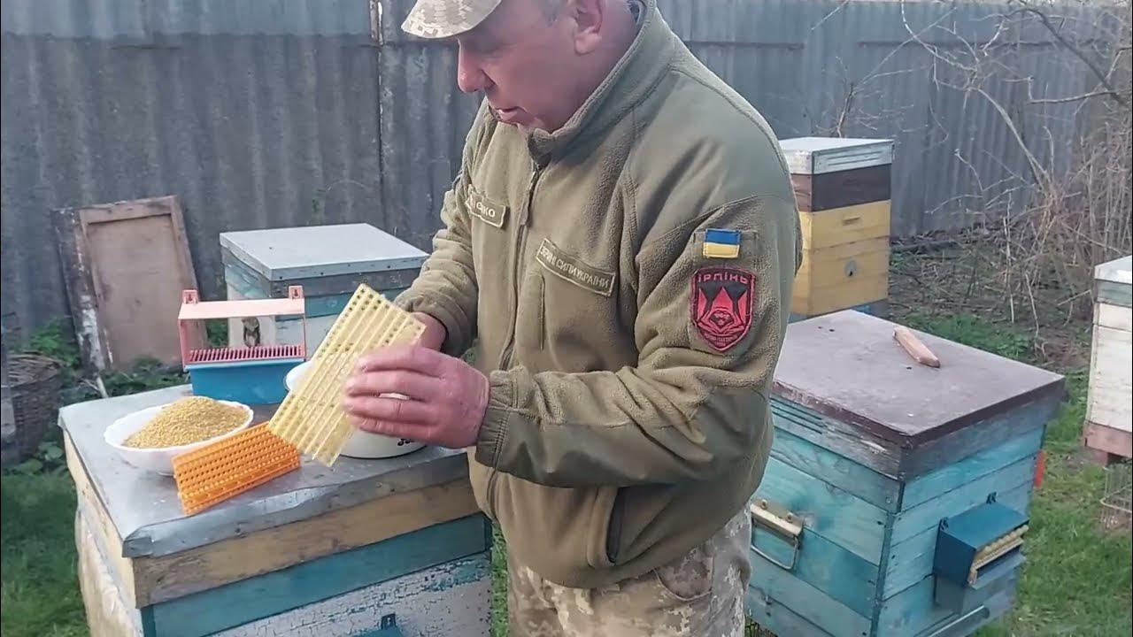 Збір пилку та вдосконалення пилковловлювачів - YouTube