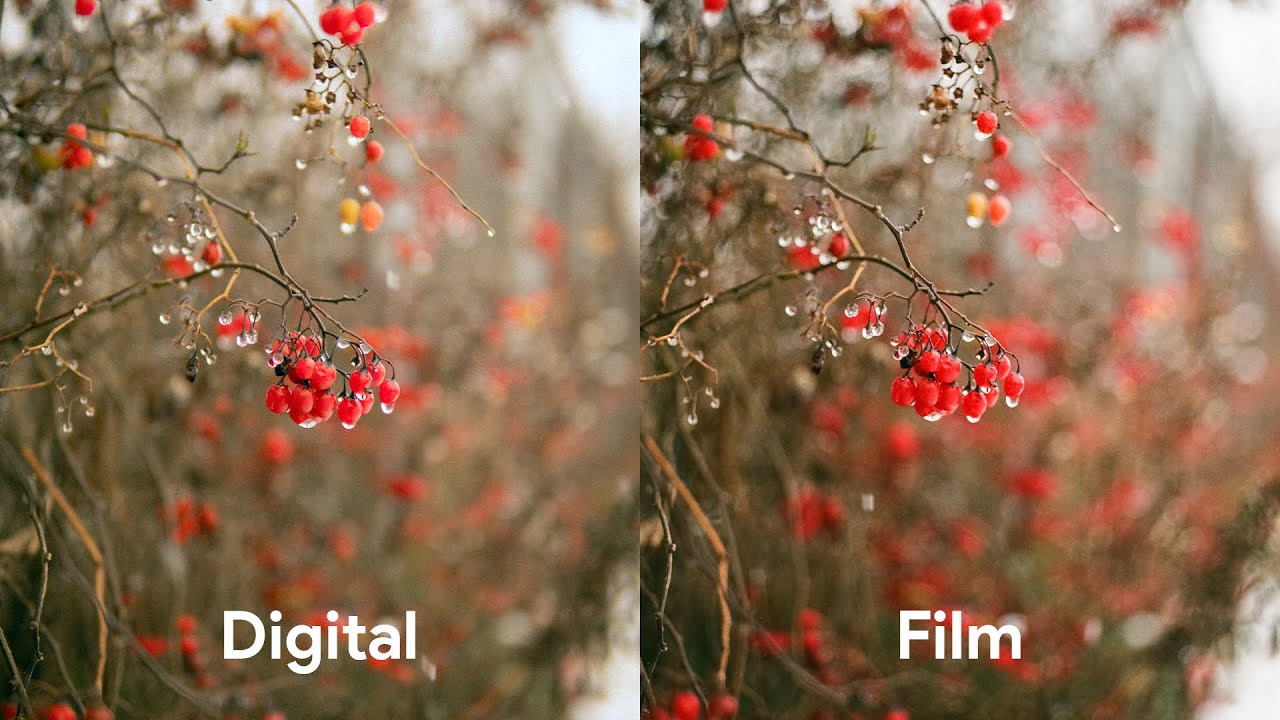 Can We Recreate The FILM Look on DIGITAL? - YouTube