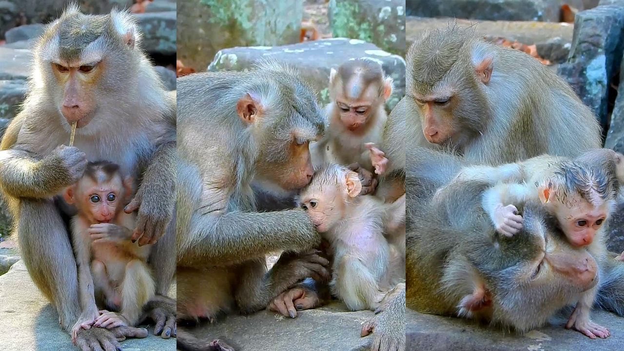 Cute baby Mollie playing very happy, Beautiful day of them, Libby kiss ...