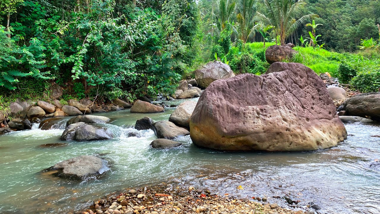 Fall Asleep Fast with Relaxing River Sounds from Rushing Stream Flowing ...