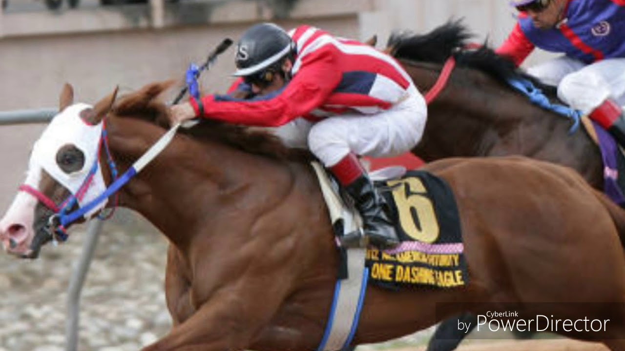 One Dashing Eagle - YouTube