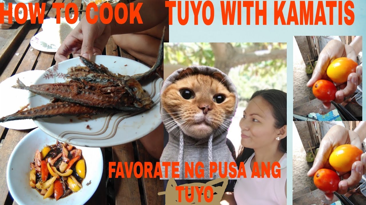 HOW TO COOK FRIED FISH OR TUYO/FREPER TO BREAKFAST/MUKBANG TUYO WITH ...