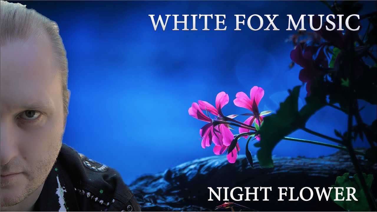White Fox Music - Night Flower - YouTube