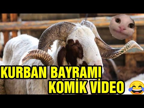 Kurban Bayramı Çok Komik Video! 😂😂😂