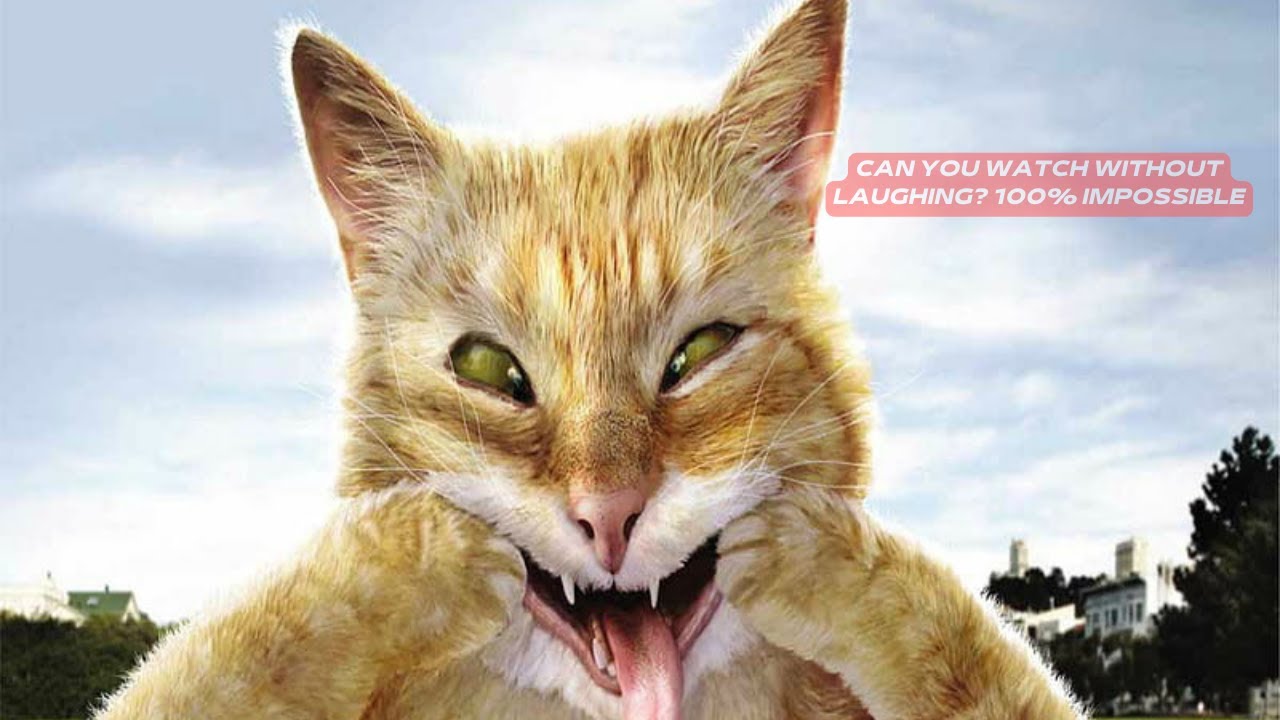 Best Funniest Animals,😂 Try Not Ha-Ha-Ha - Funny Animals 2023 - YouTube