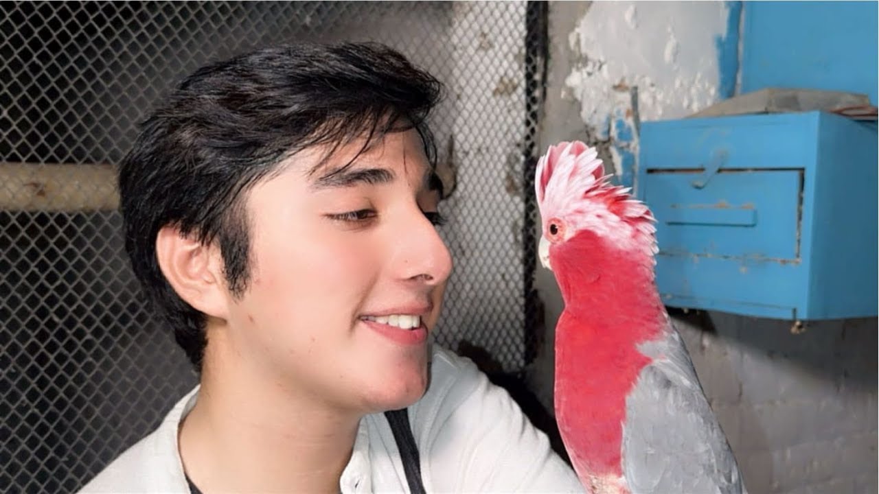 Aon-Ul-Ahad Visiting Muslim Breeding Farm | Peacocks, Deer, Parrots ...