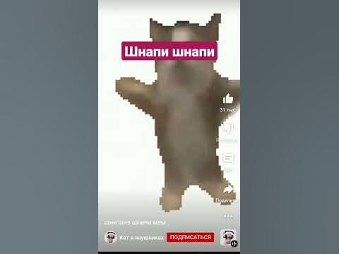 шнапи шнапи - YouTube