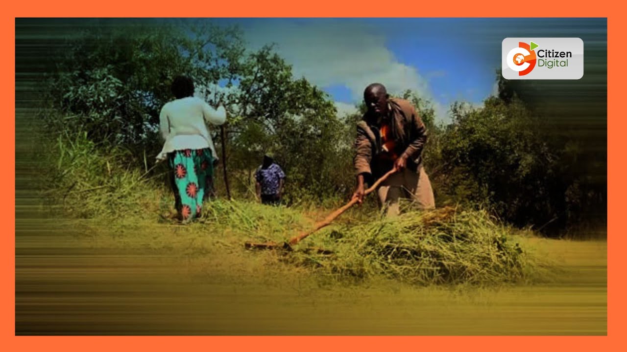 Smart Farm | Pasture Farming in Baringo County - YouTube