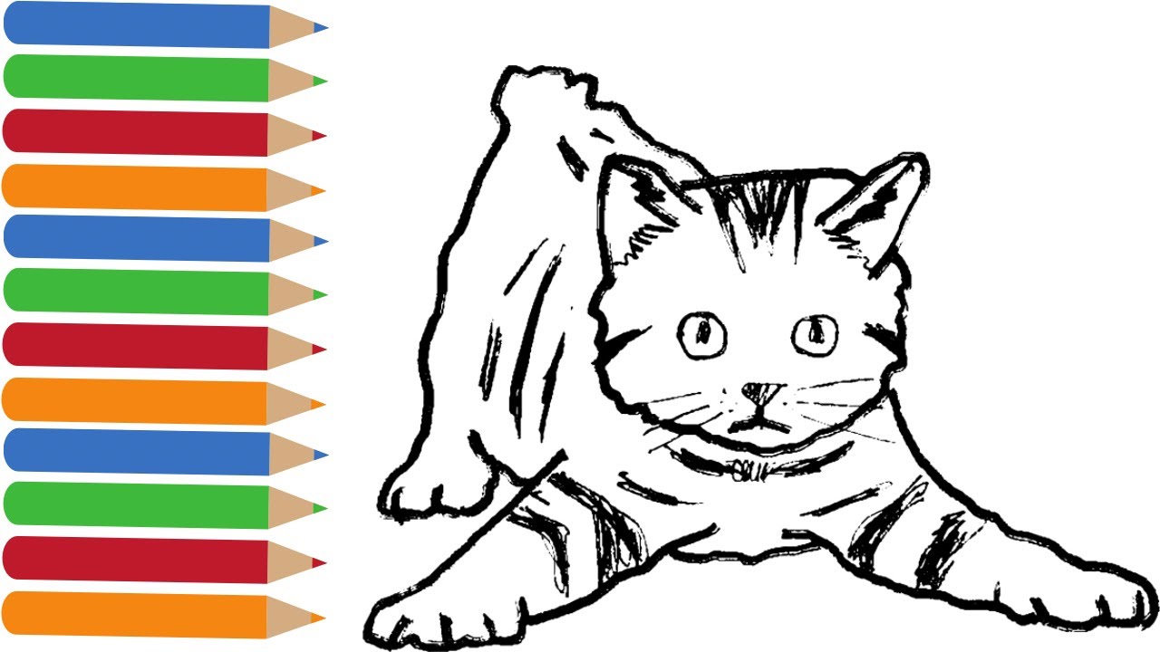 How to draw butterfly, cat videos for kids| popa tv - YouTube