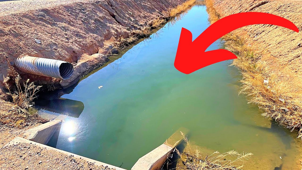 Exploring Urban Arizona Ditch Fishing (Underwater Footage) - YouTube
