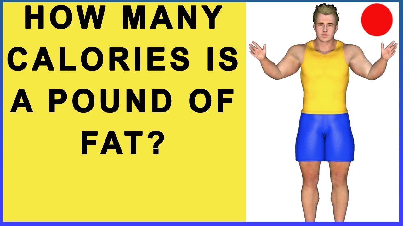 How Many Calories Is A Pound Of Fat Weight Loss Secrets YouTube how-many-calories-is-a-pound-of-fat-weight-loss-secrets-youtube