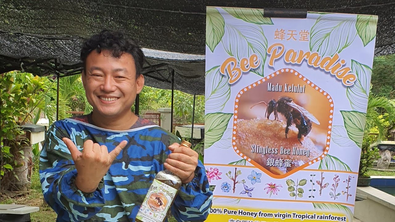 Bee Paradise | Itama Bee Honey | Tropical Forest Stingless Bees | Shah ...