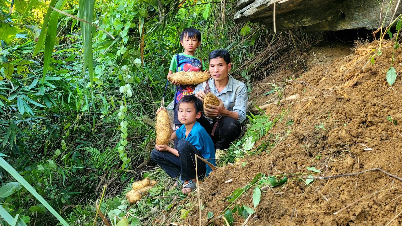The boys dug up yams to sell for money and cook together. takes place ...