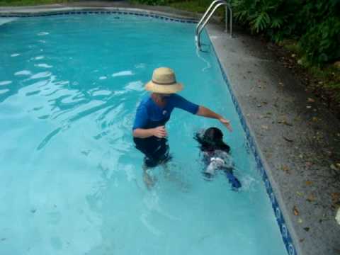 dingy pop swim test 1 - YouTube