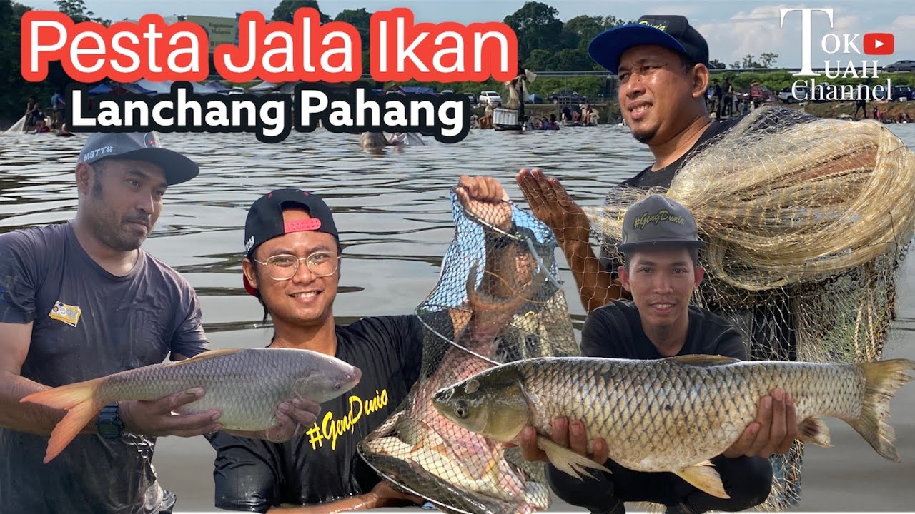 BERIBU ORANG ke Pesta Menangkap Ikan(Menjala) di Estet Ikan Paya ...