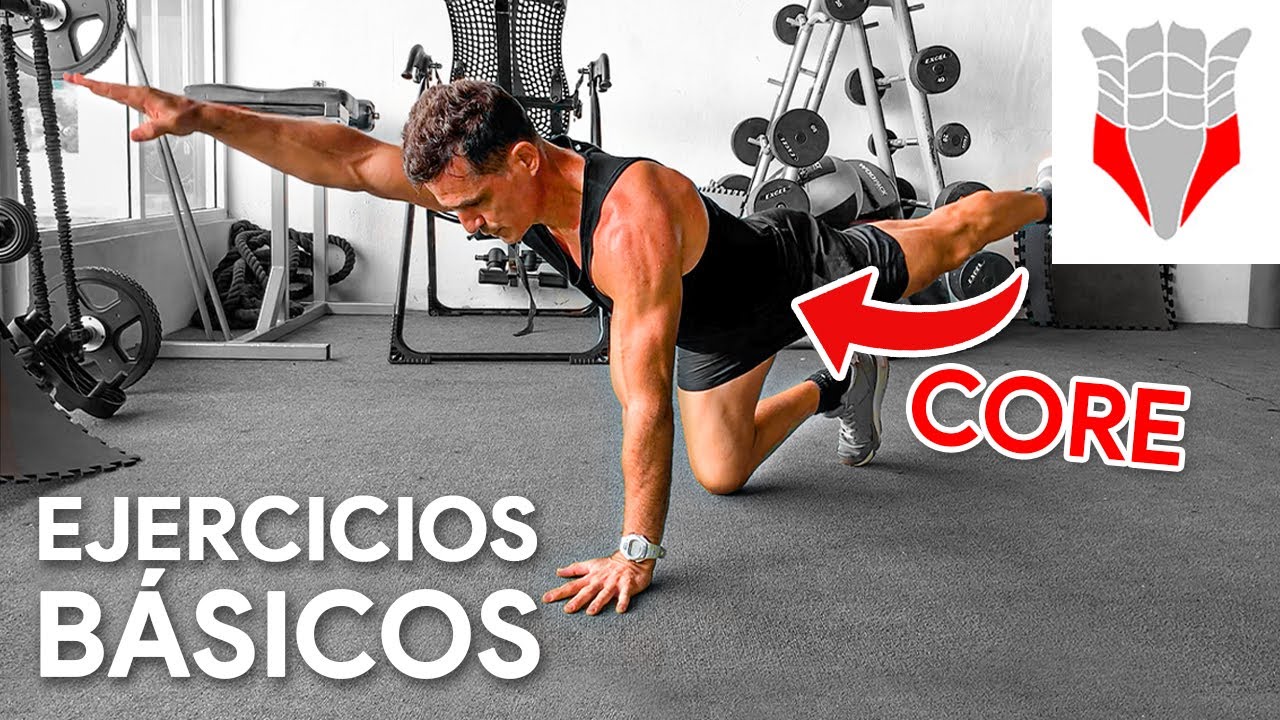 EJERCICIOS BÁSICOS PARA EL CORE - YouTube