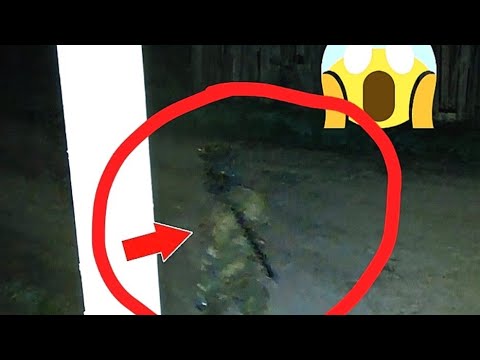 Sabirabad da dəhşətli görüntü 😳 maskalı silahlı naməlum şəxs gecə saatlarında kameralara belə düşdü