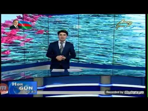 Rəşad Əlisgəndərov  Qazax  space tv