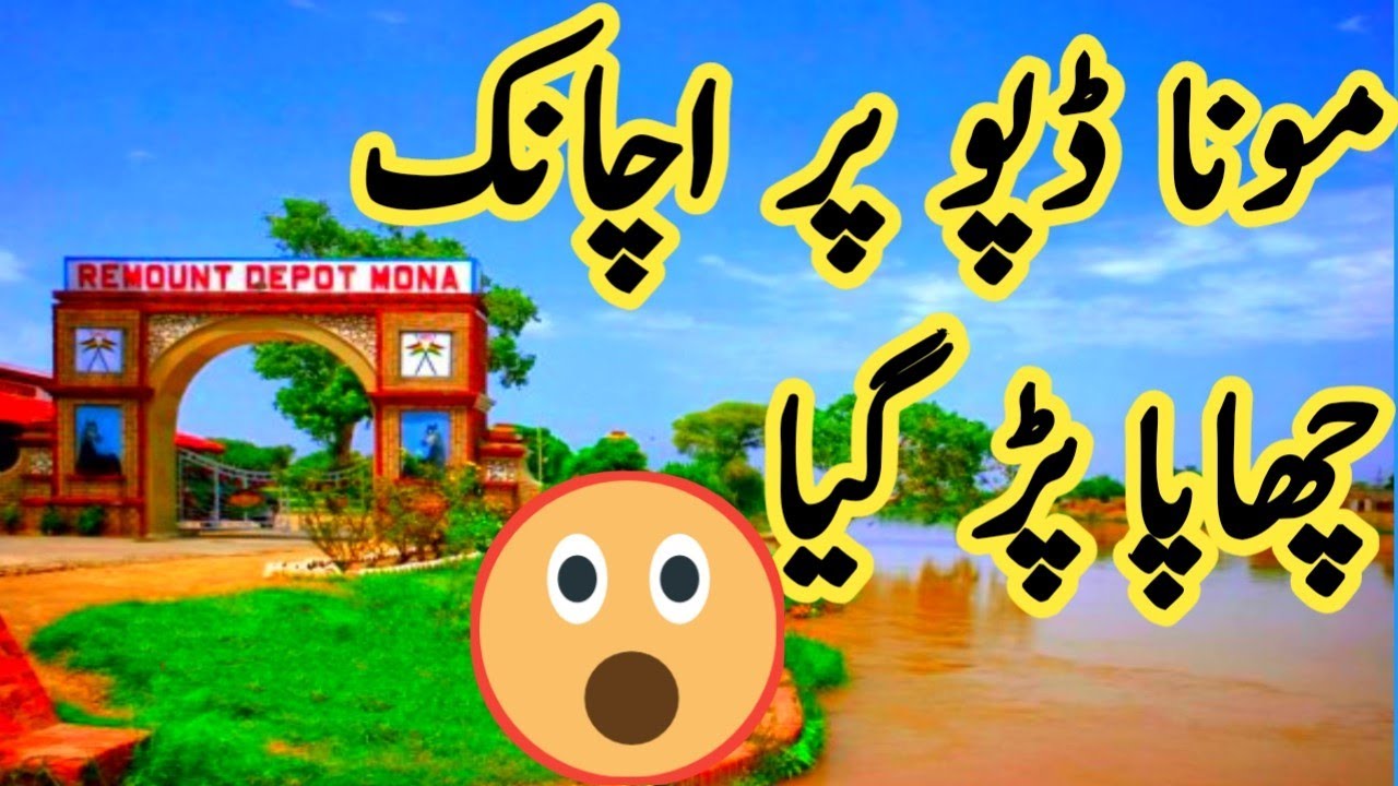 Mona Depot Per Chapa Per Gaya | Remount Depot Mona Malakwal Mandi ...