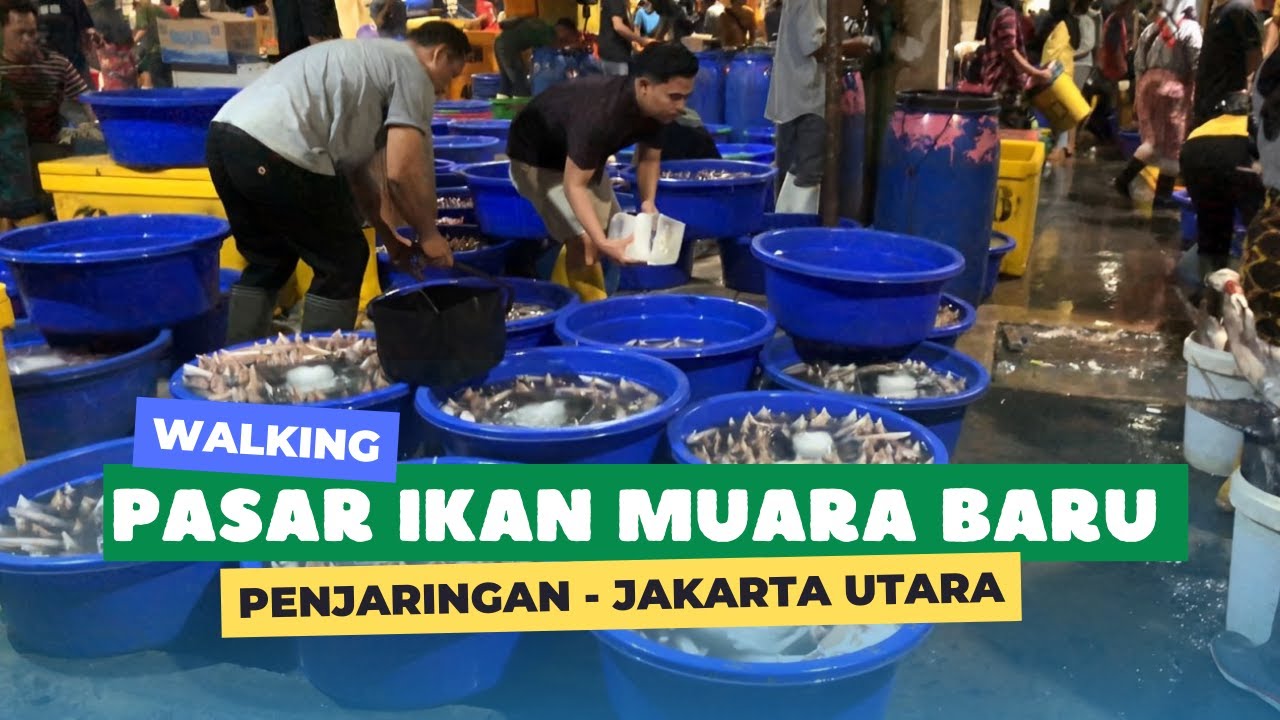 Walking Around : Pasar Ikan Modern Muara Baru Penjaringan Jakarta Utara ...