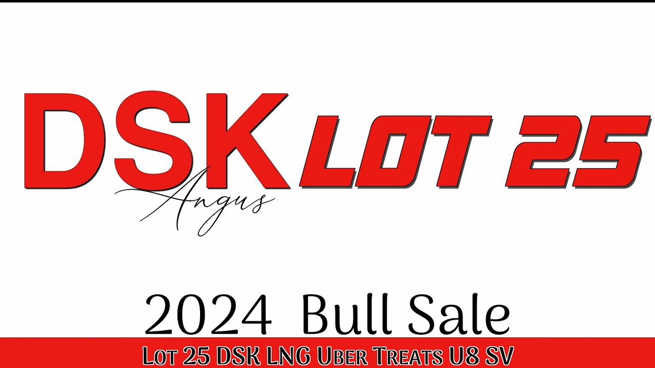 Lot 25 DSK LNG Uber Treats U8 SV - YouTube