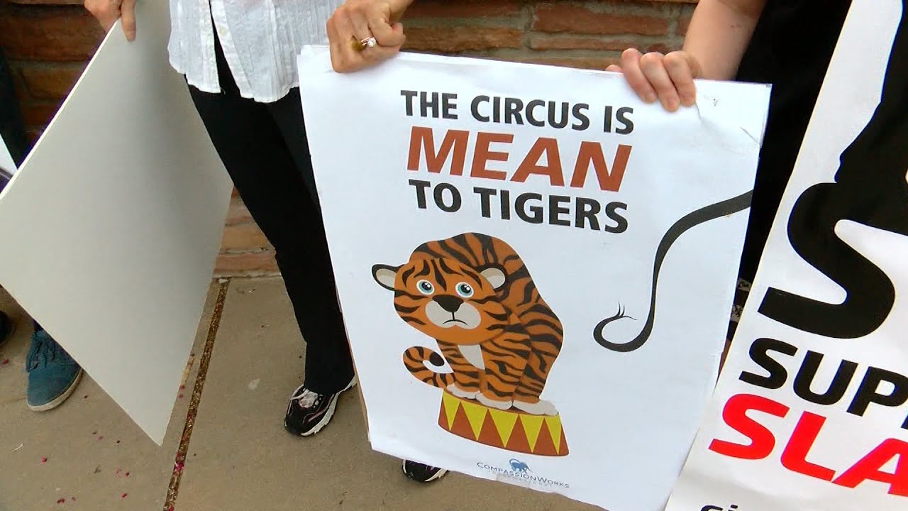 Circus protest full interview - YouTube