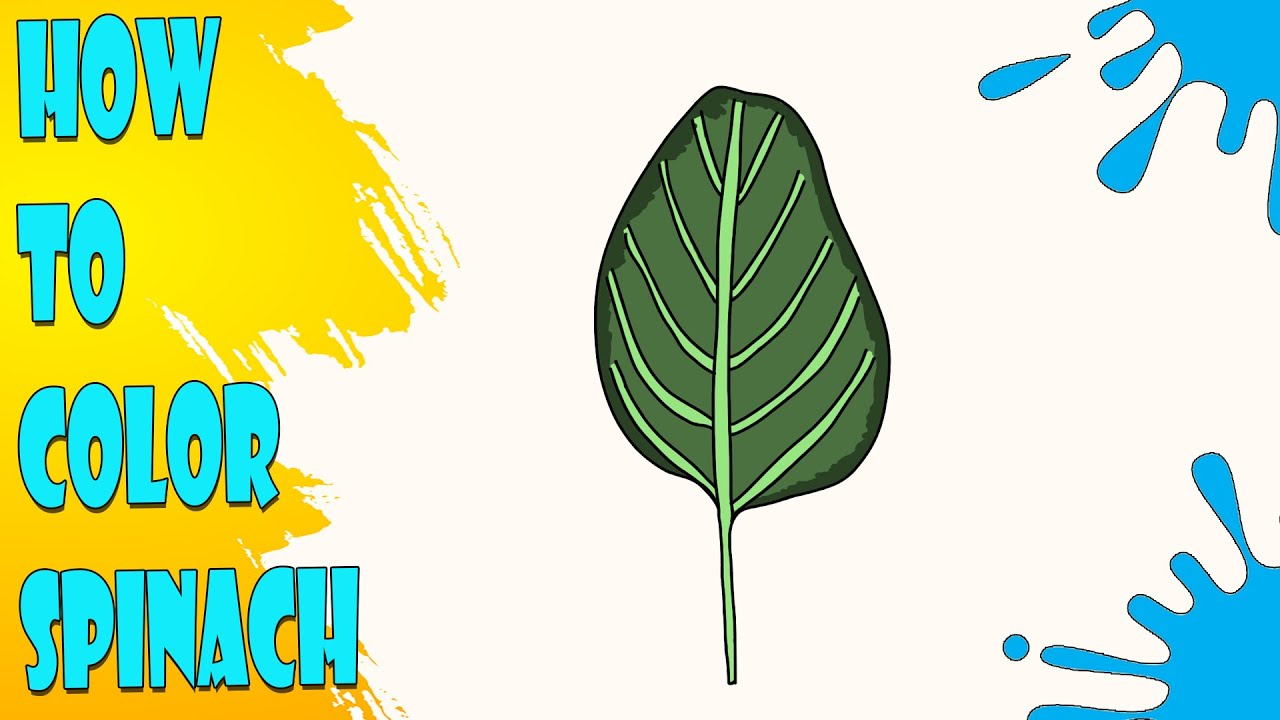 How To Color Spinach | Easy Coloring Guide For Kids - YouTube