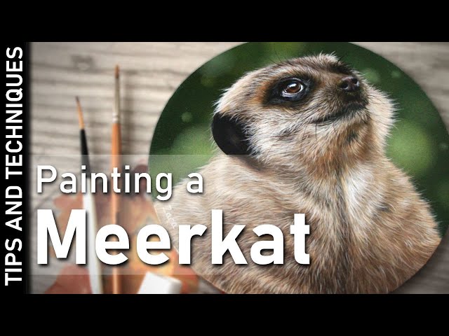 Meerkat Face Paint