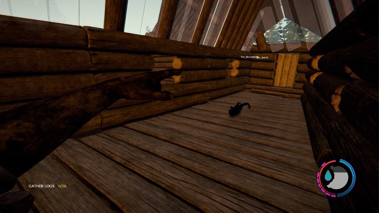 Truly bizarre - YouTube