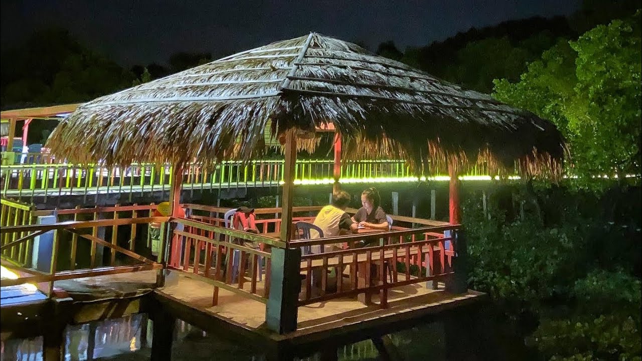 Wisata Mangrove Desa Budo - YouTube