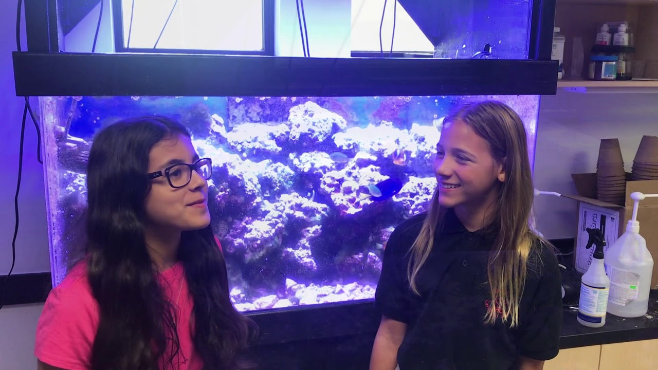 6th Grade Marine Bio Class Explains Our Reef Tank - YouTube
