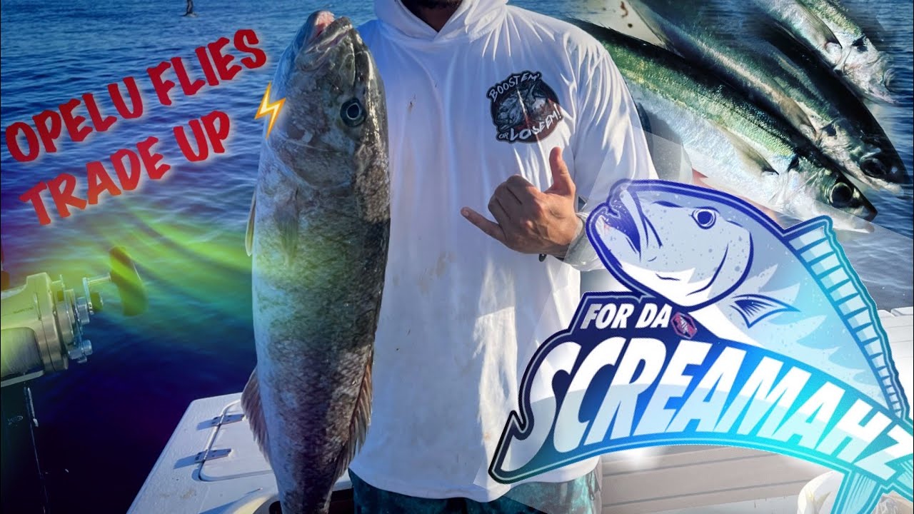 Opelu Trade Up! For Da Screamahz Opelu Flies - Live Baiting Hawaii For ...