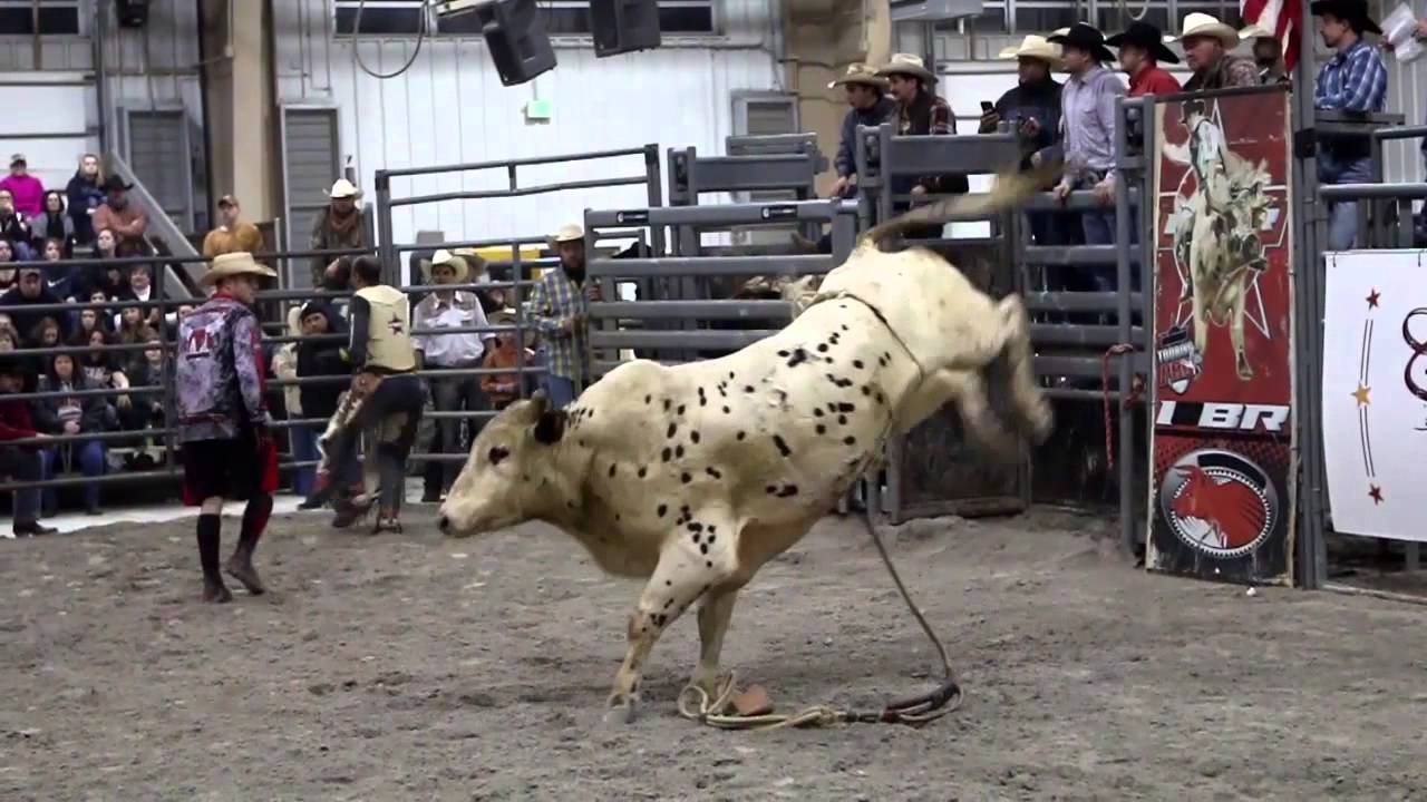 International Bull Riders Association - YouTube