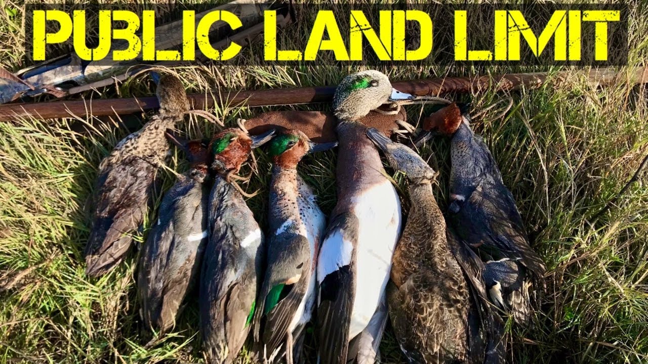 California Duck Hunt - In Some Fog - YouTube