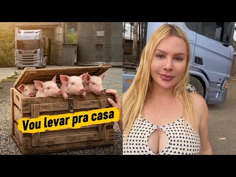 Levei o porco pra casa. VEM CONHECER A MATERNIDADE.