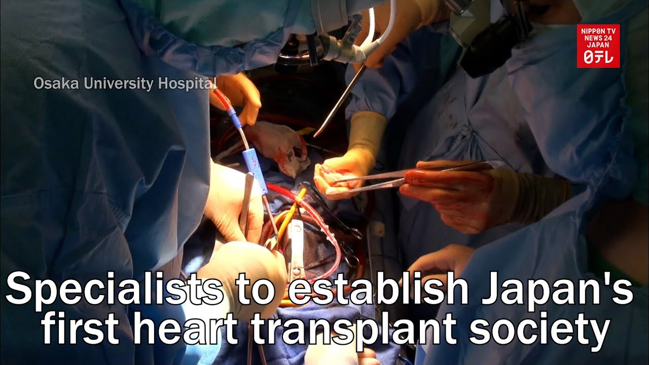 Specialists to establish Japan's first heart transplant society - YouTube